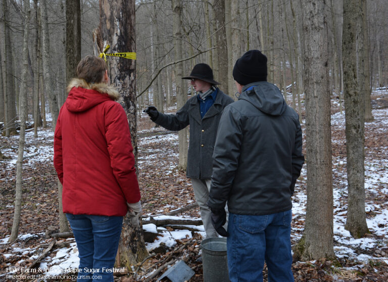 ENJOY OHIO’S MAPLE SEASON AND EVENTS - My Ohio Fun